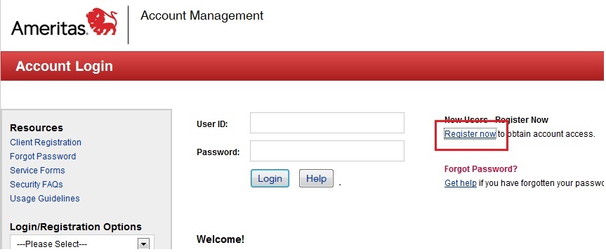 Online Account Access